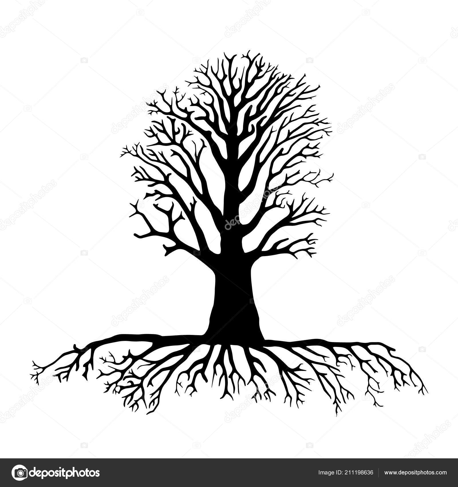 Tree Silhouette Roots