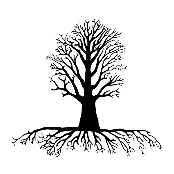 Tree silhouette with roots Stock Photos, Royalty Free Tree silhouette ...