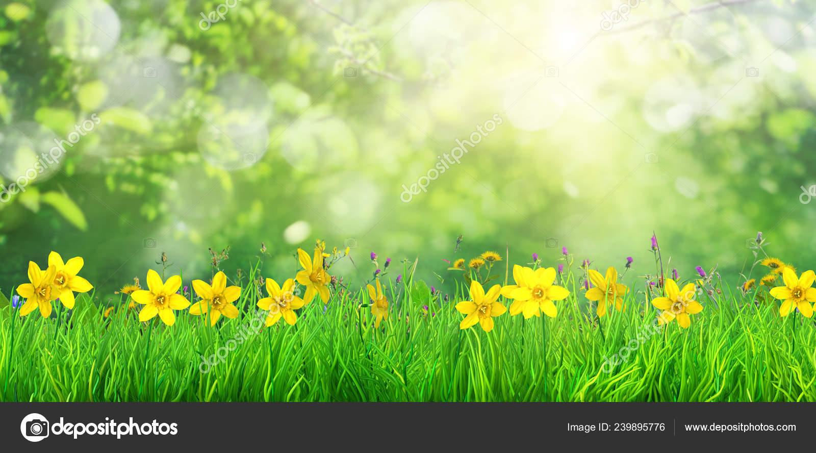 Spring Flowers Green Grass Background Stock Photo by ©varuna 239895776