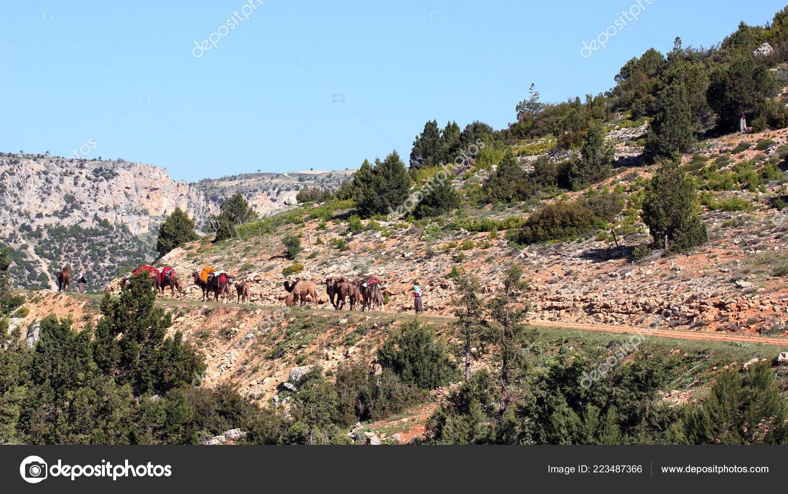 Nomadic People Animals — Stock Photo © reflex_safak #223487366