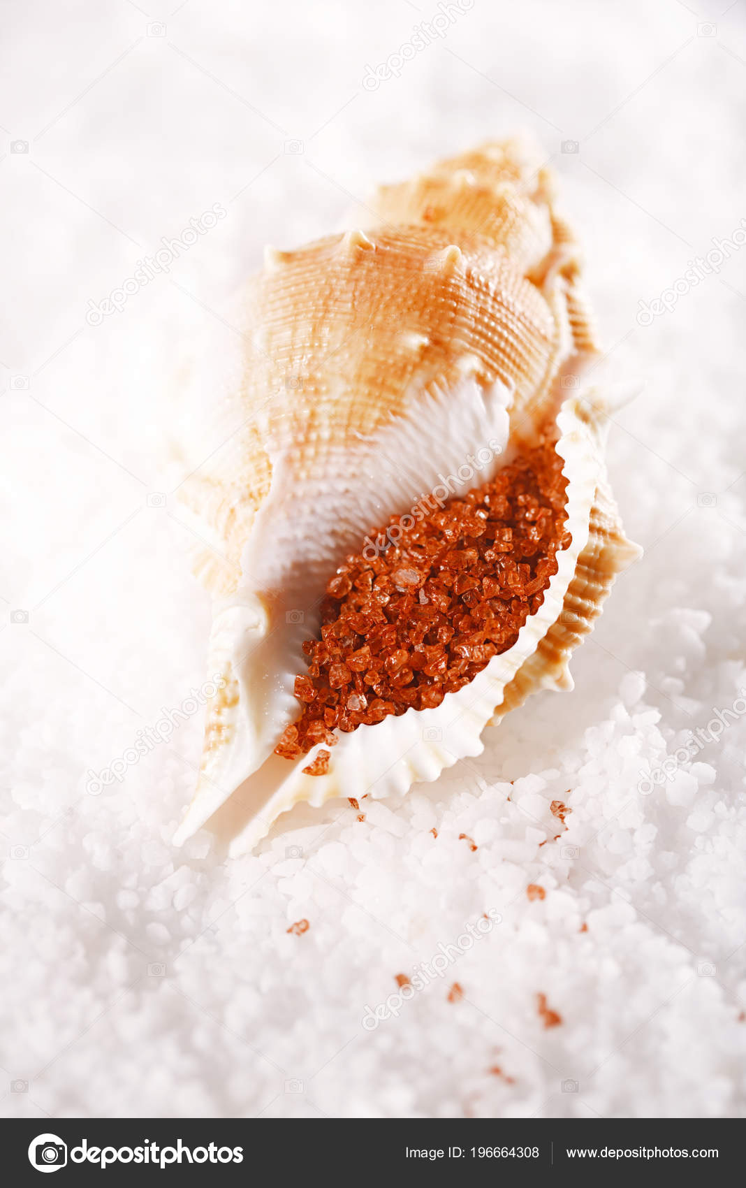 Hawaiian Red Gold Salt Shell ⬇ Stock Photo, Image by © lvenks #196664308
