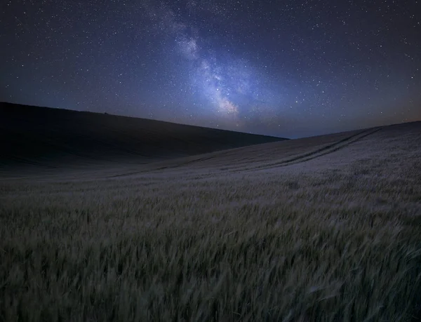 Field at night Stock Photos, Royalty Free Field at night Images ...