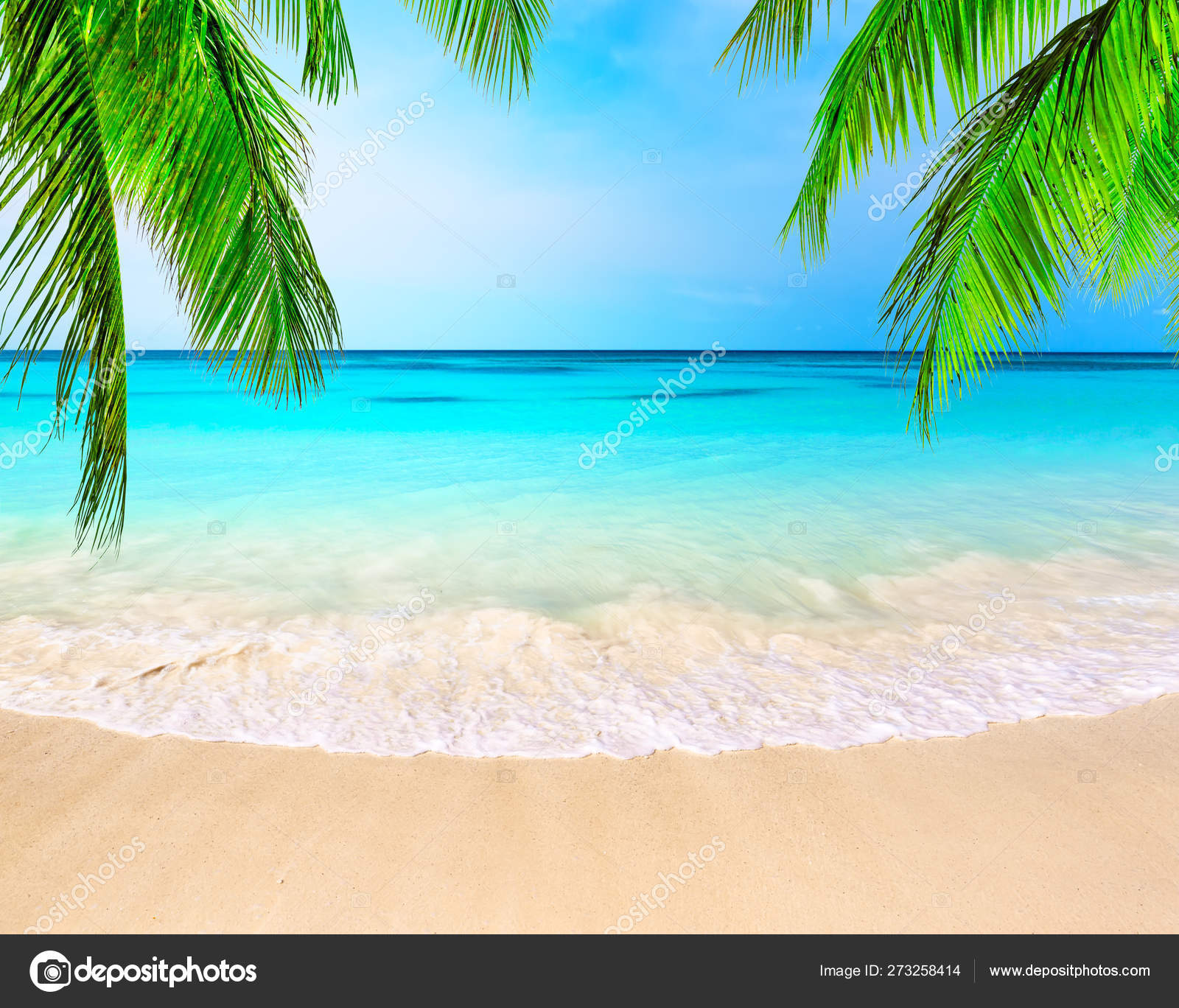 Tropical Beaches