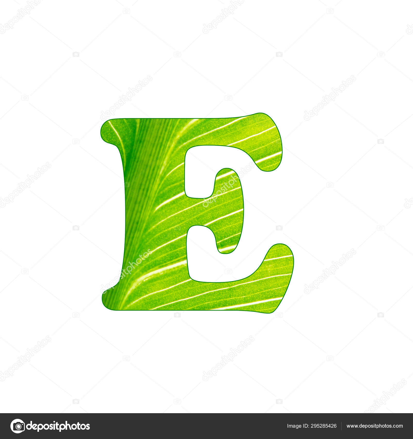 The green plant letter E , letters cut of the background of green sheet ...