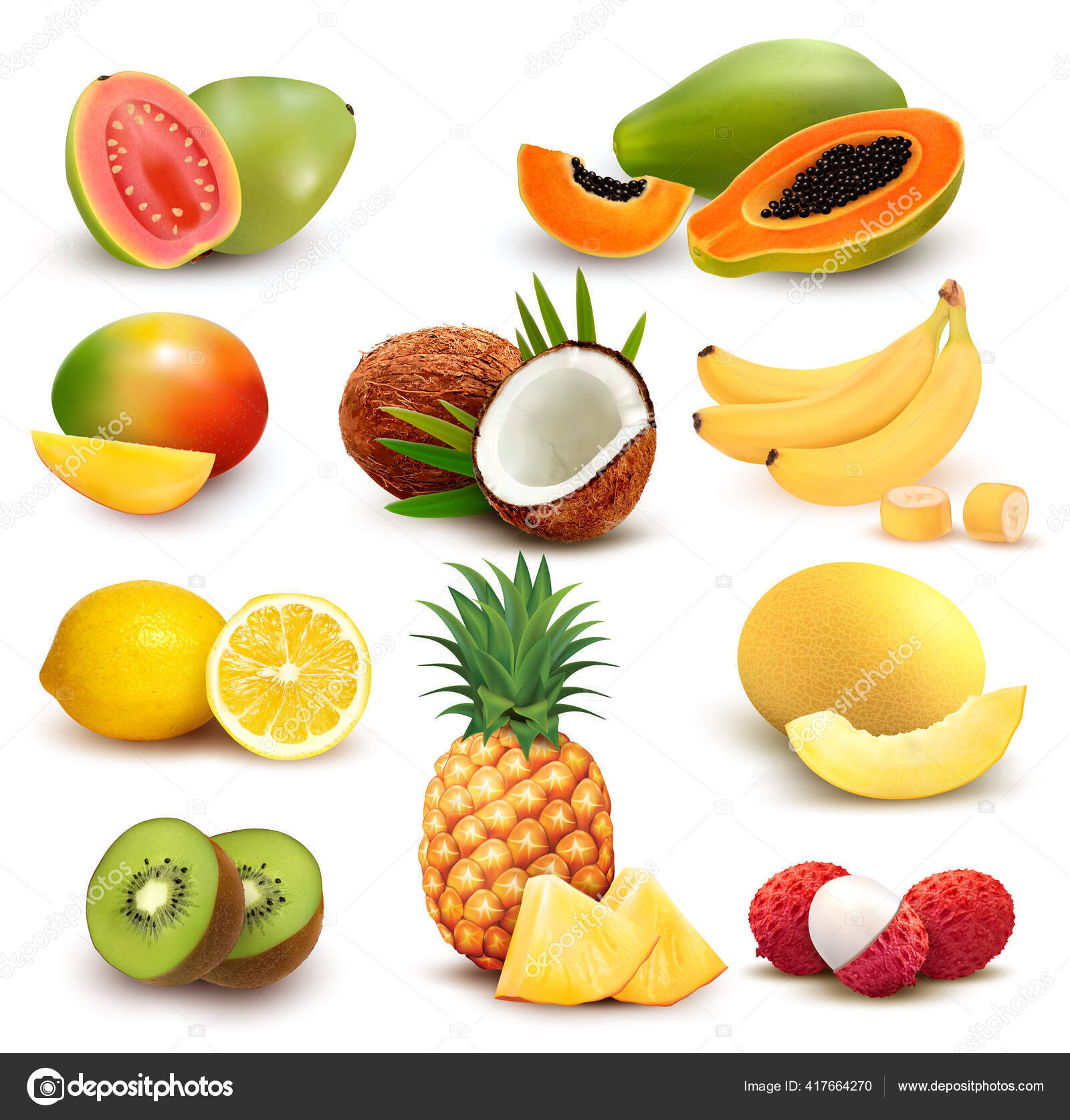 Colección Frutas Bayas Exóticas Papaya Guayaba Limon Banana Mango Coco ...