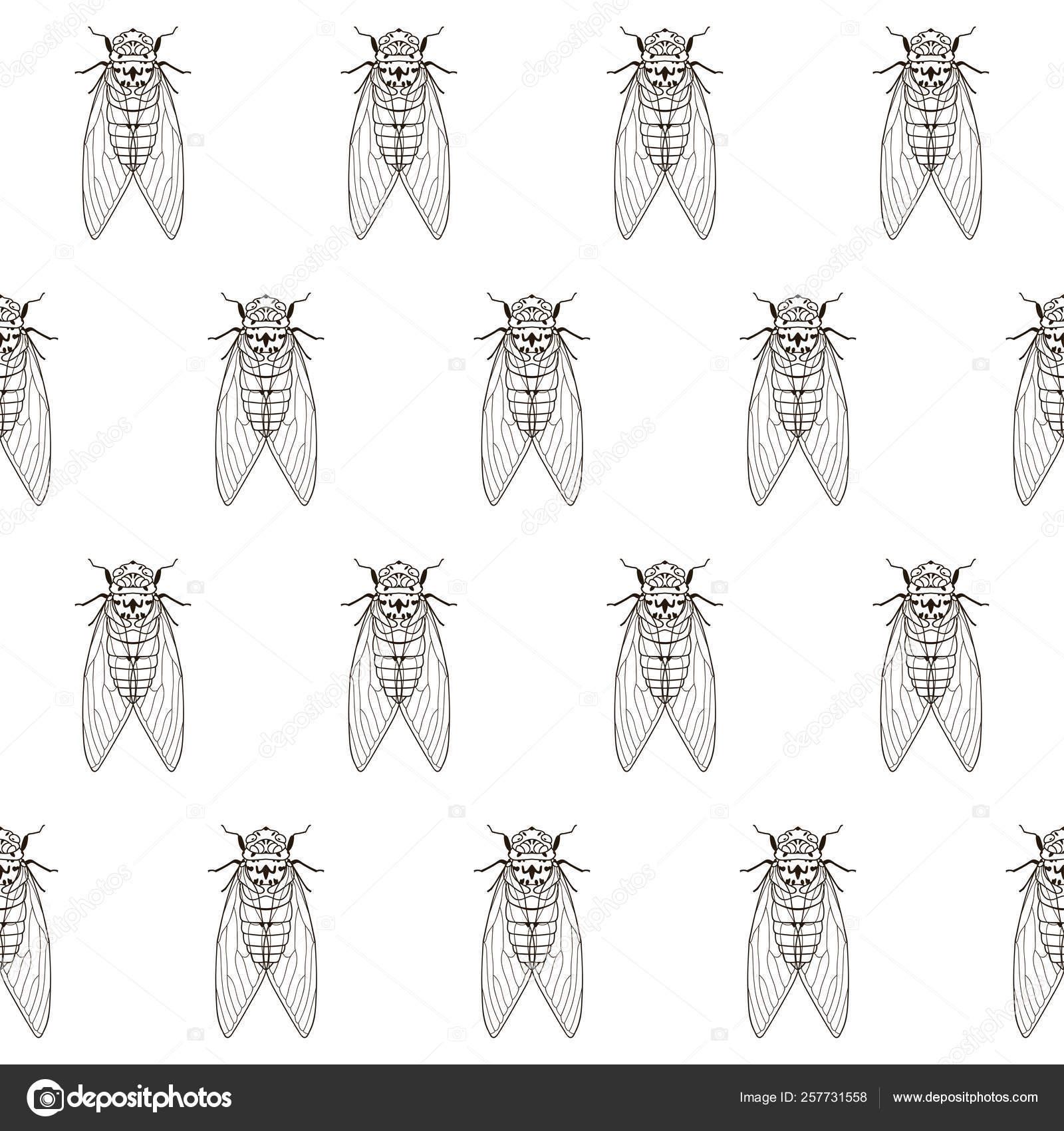 Cicada Seamless Pattern Entomology Textile Print Vector Illustration ...