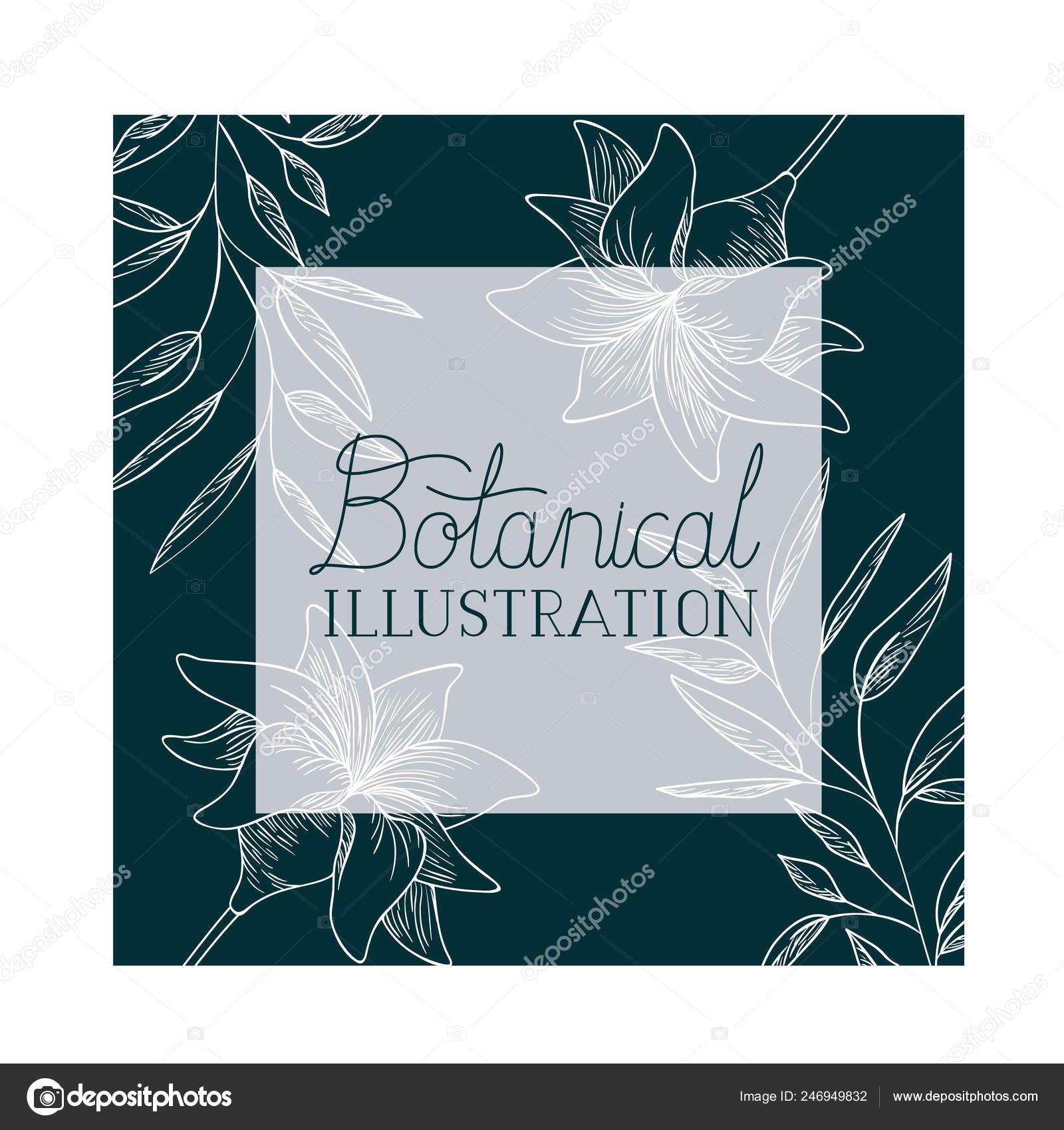 Botanical illustration label with plants Stock Vector Image by ...