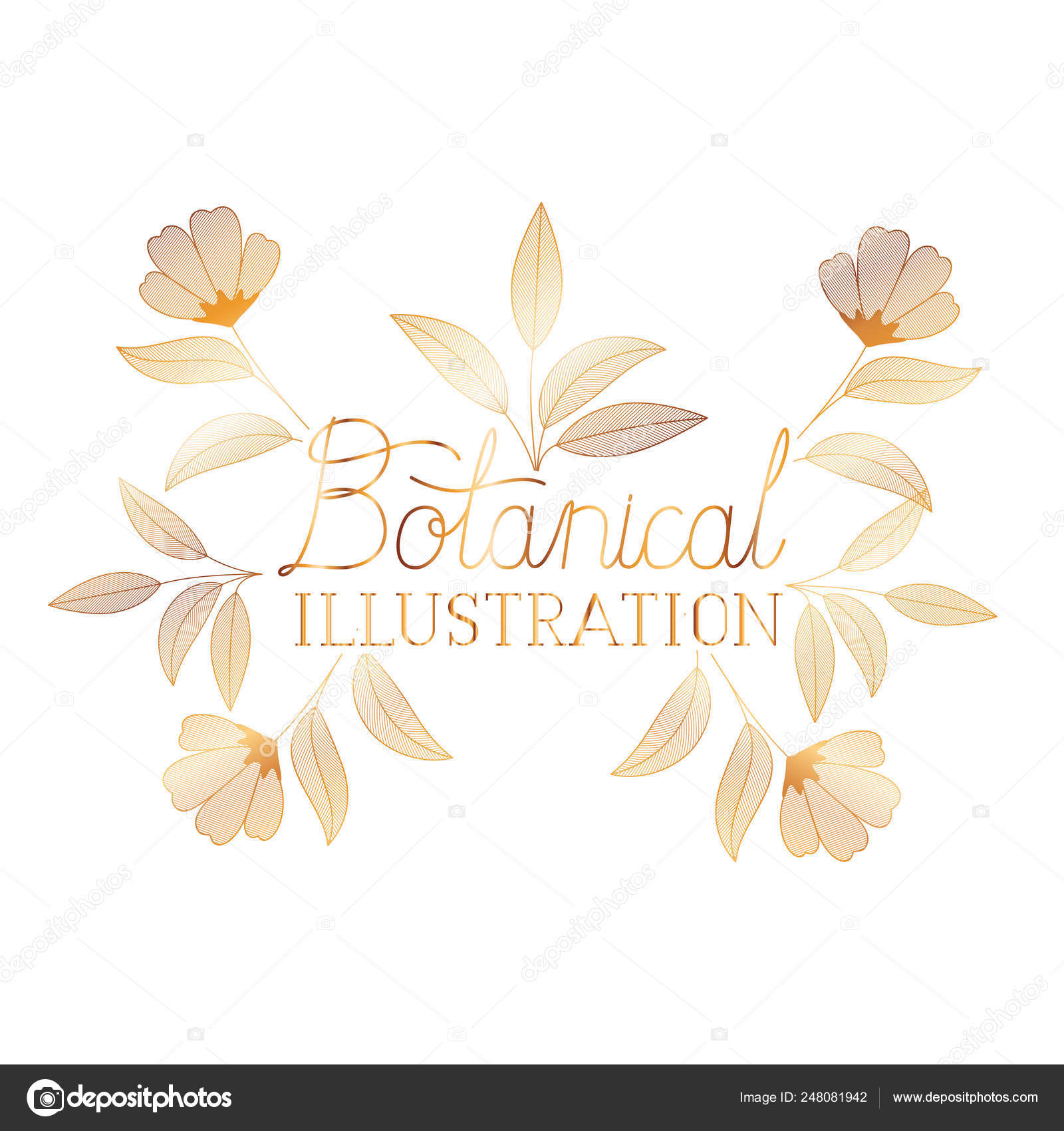 Botanical illustration label with plants Stock Vector Image by ...