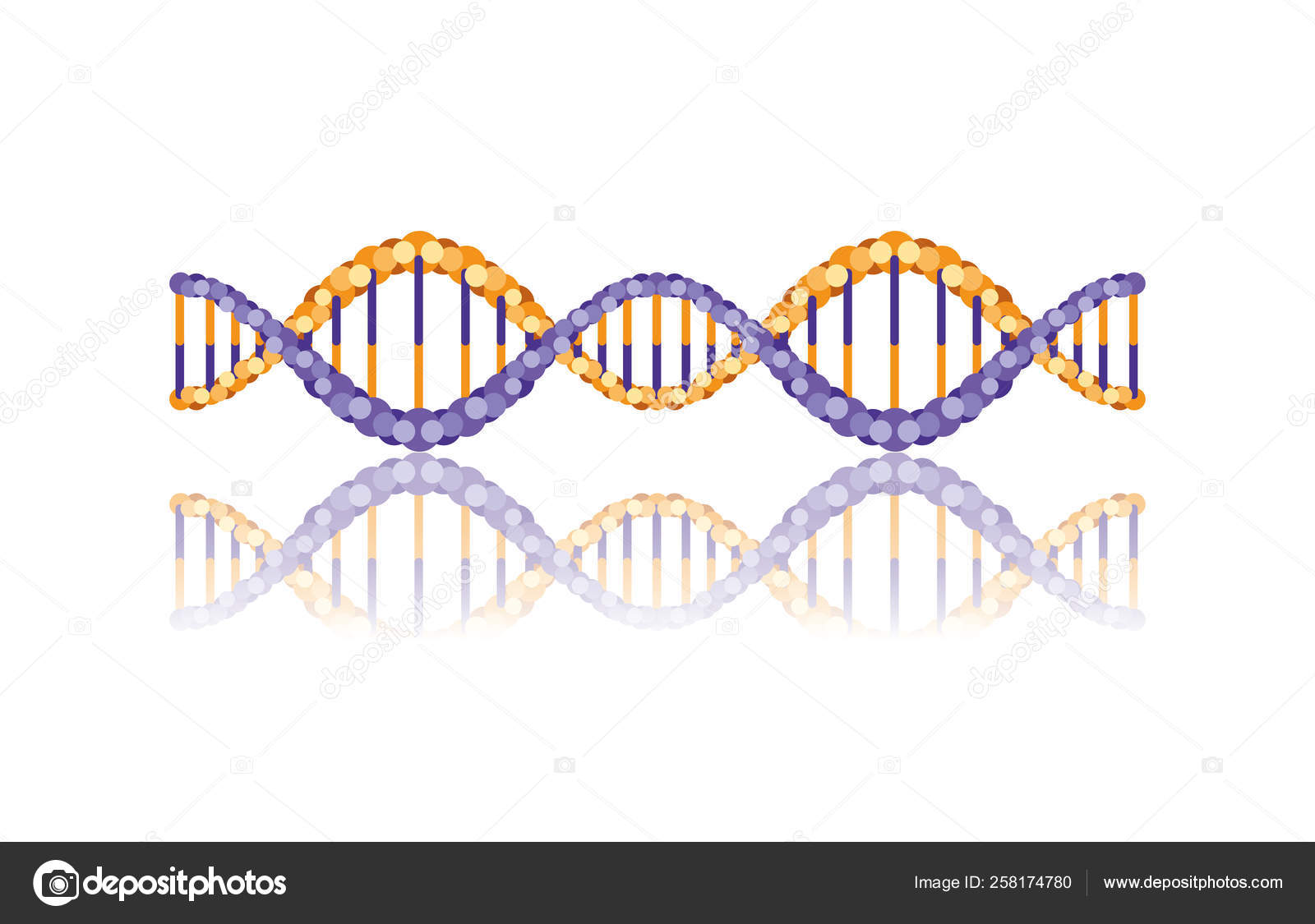 Horizontal dna chain science colorful icon Stock Vector Image by ...