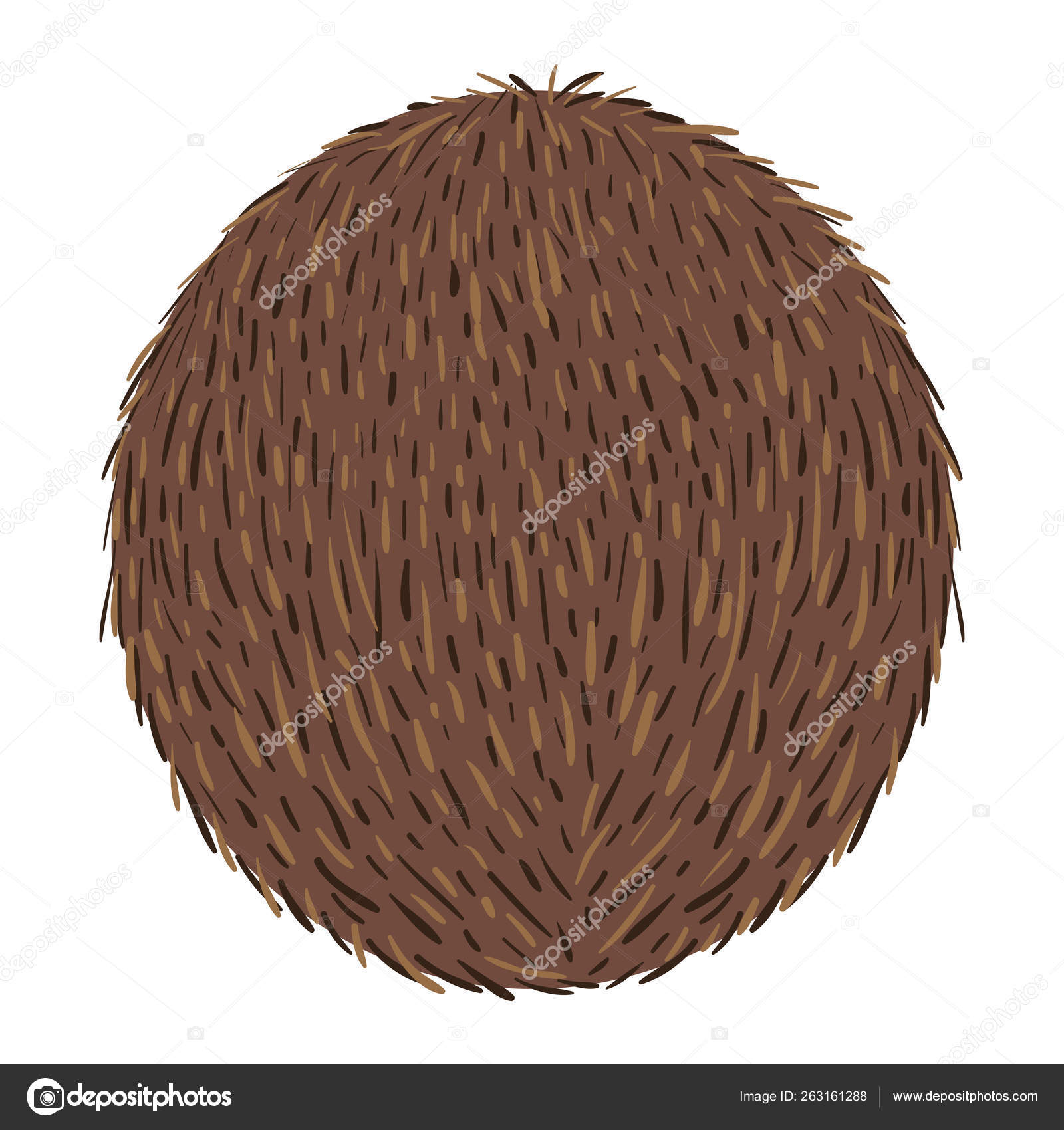 Coco fruta fresca icono Vector de stock por ©grgroupstock 263161288