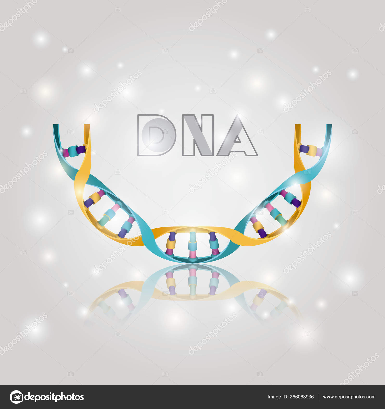 Dna molecule half circle structure pattern Stock Vector Image by ...