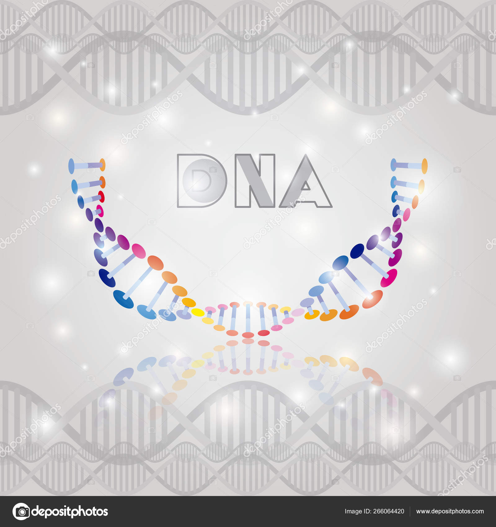 Dna molecule half circle structure pattern Stock Vector by ...