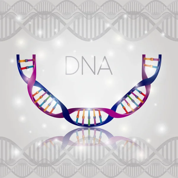 Dna molecule half circle golden structure Stock Vector by ©grgroupstock ...