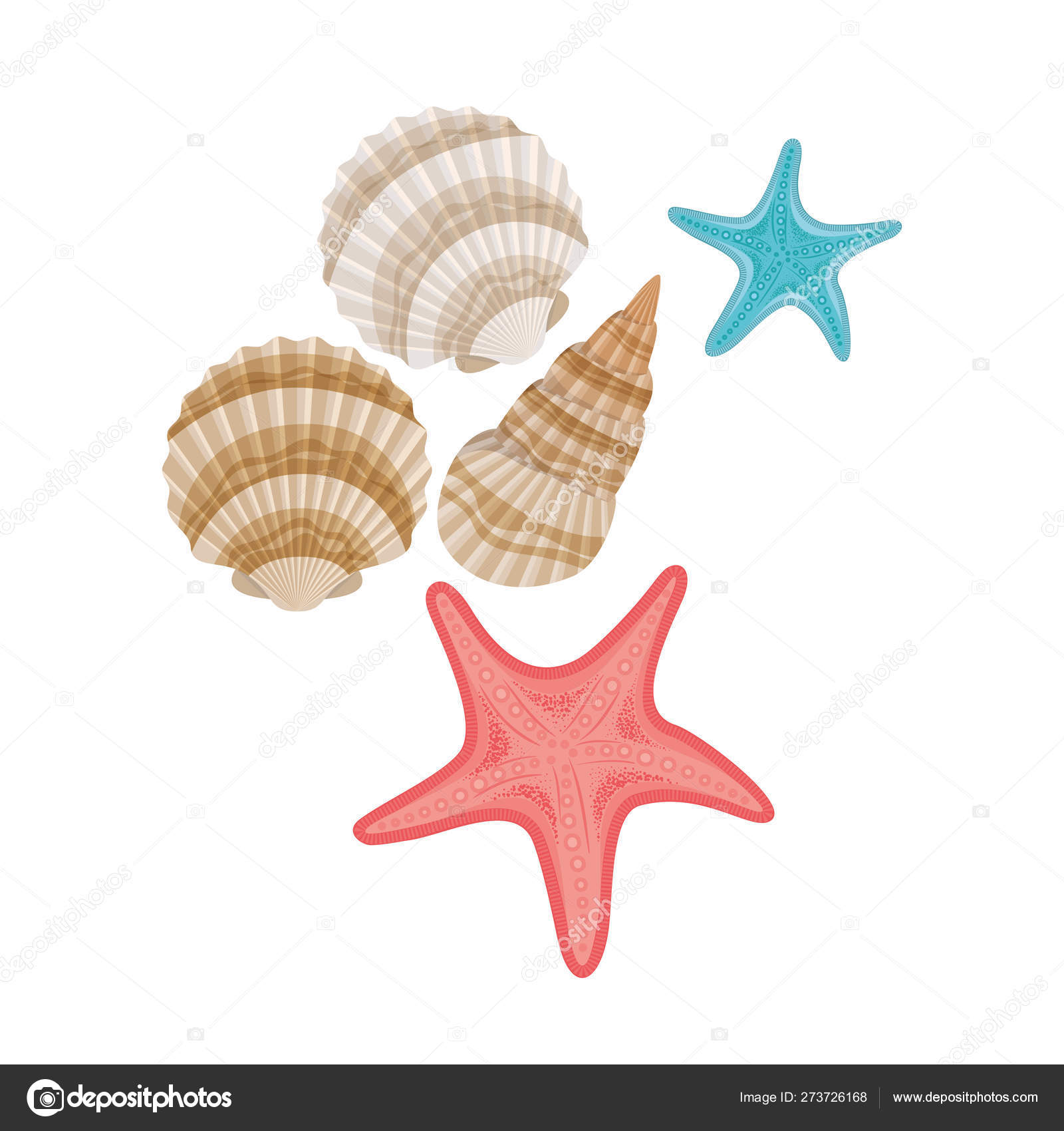 Cute seashells on the sea in white background Stock Vector Image by ...