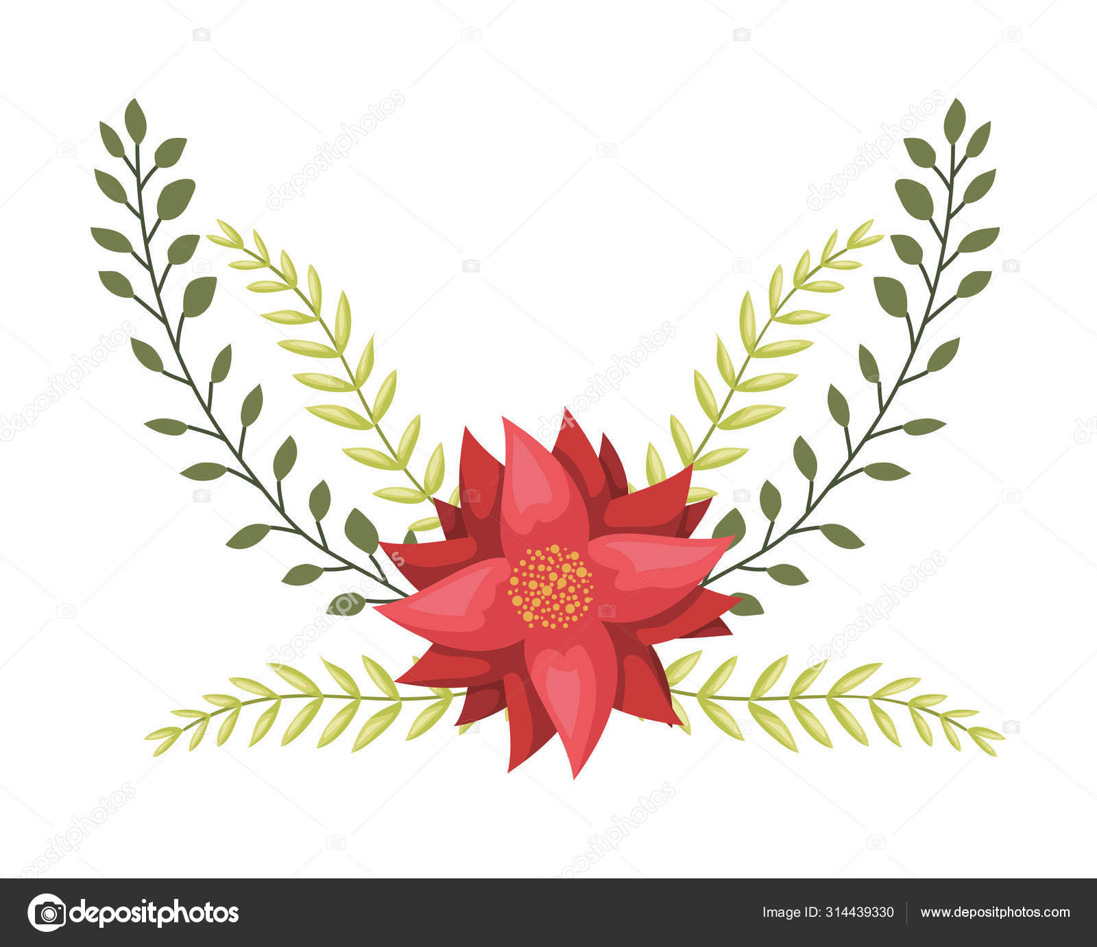 Beauty christmas flowers and branch decorative icon Stock Vector Image ...