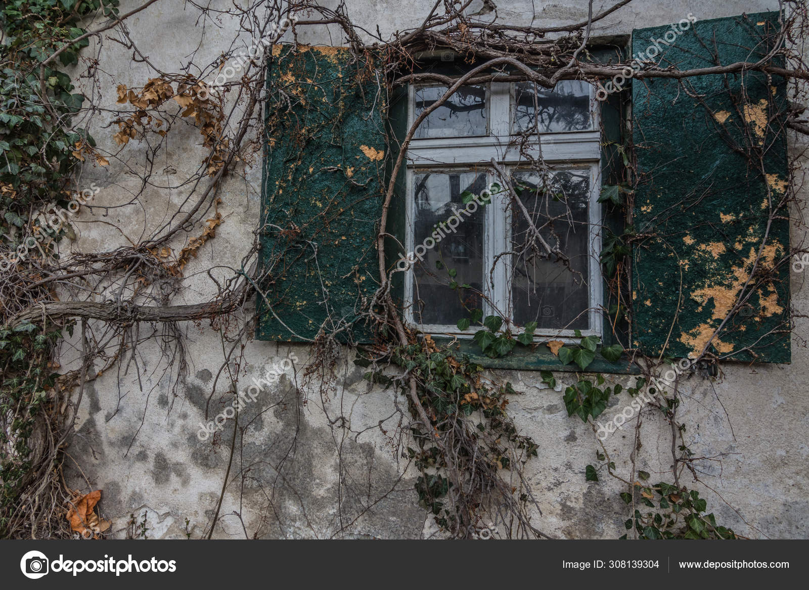 Overgrown facade with window ⬇ Stock Photo, Image by © thomaseder ...