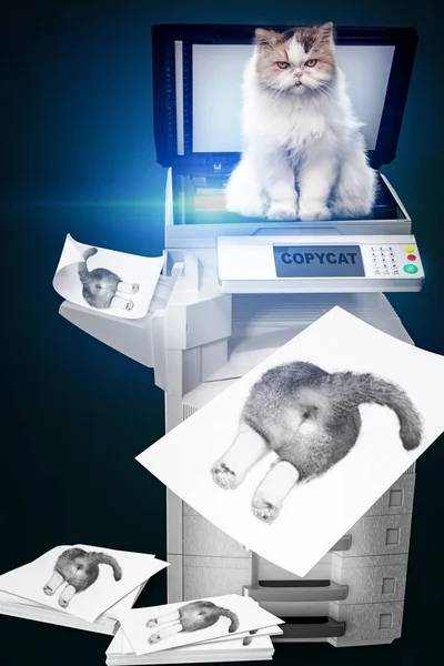 Copycat Stock Photos, Royalty Free Copycat Images | Depositphotos