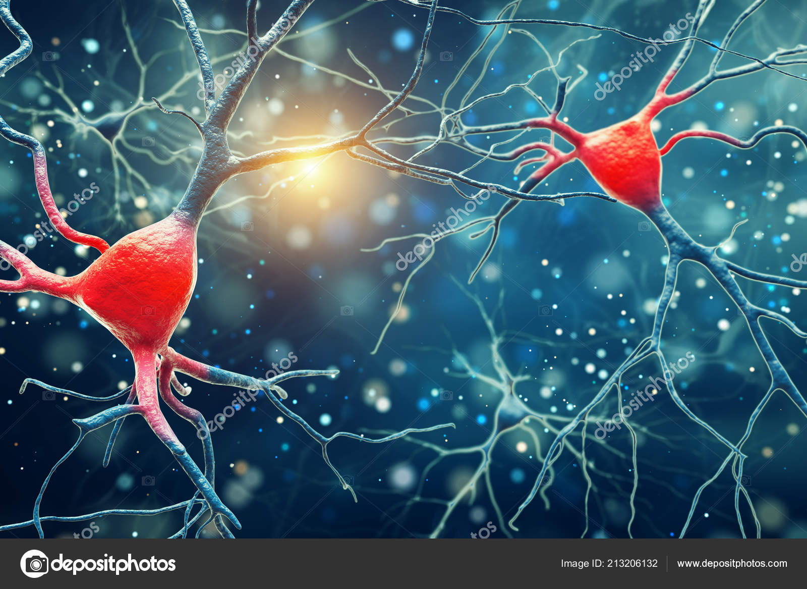Illustration Human Brain Neurons Structure High Resolution Stock Photo ...