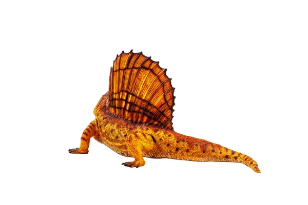 Dimetrodon dinosaur. Viewed from a side, On white background Stock ...