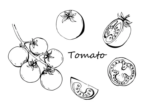 100,000 Desenho fases tomate Vector Images | Depositphotos