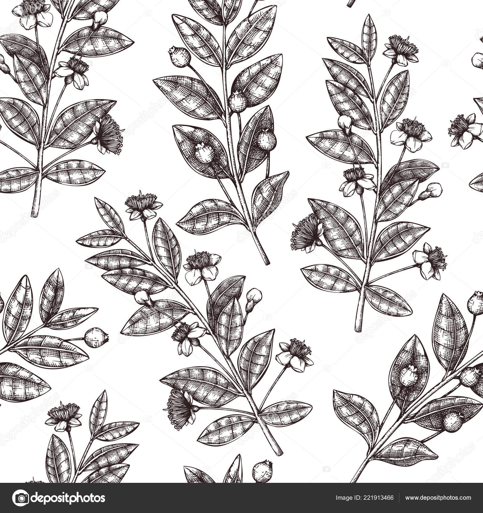 Vector Myrtle Tree Design Hand Sketched Floral Illustration Botanical ...