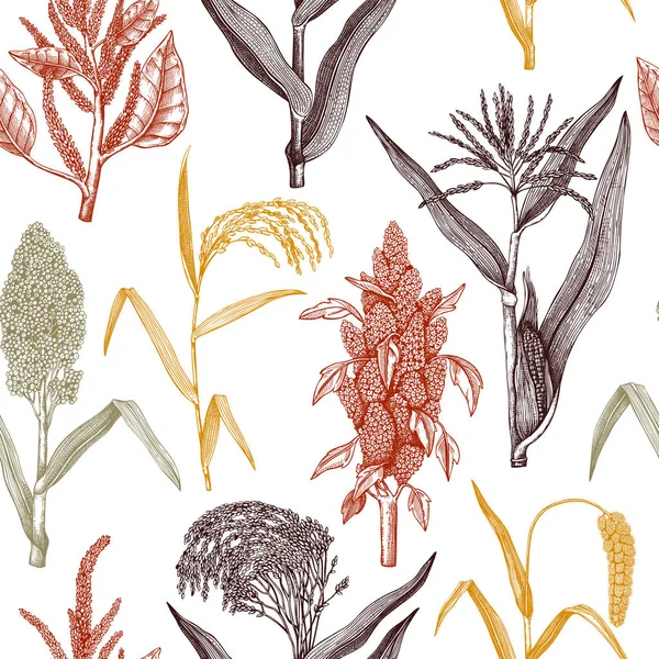Crops sketch Vector Art Stock Images | Depositphotos