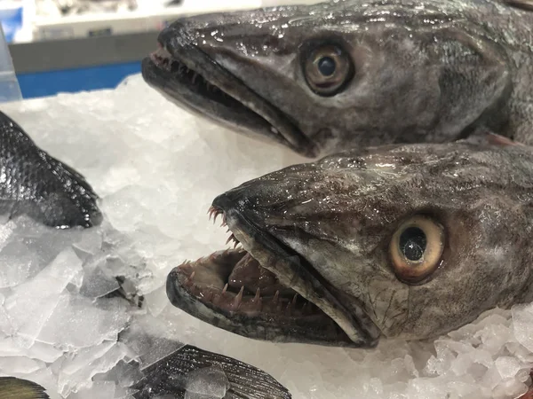 Jesus fish Stock Photos, Royalty Free Jesus fish Images | Depositphotos