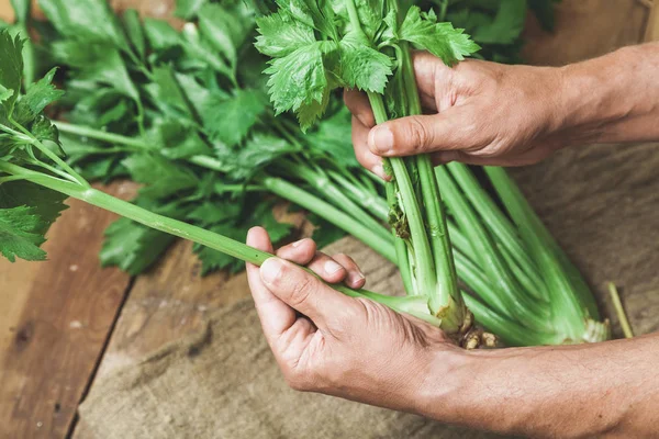 Harvest in the hands. The hands of the cook share the stalks of celery ...