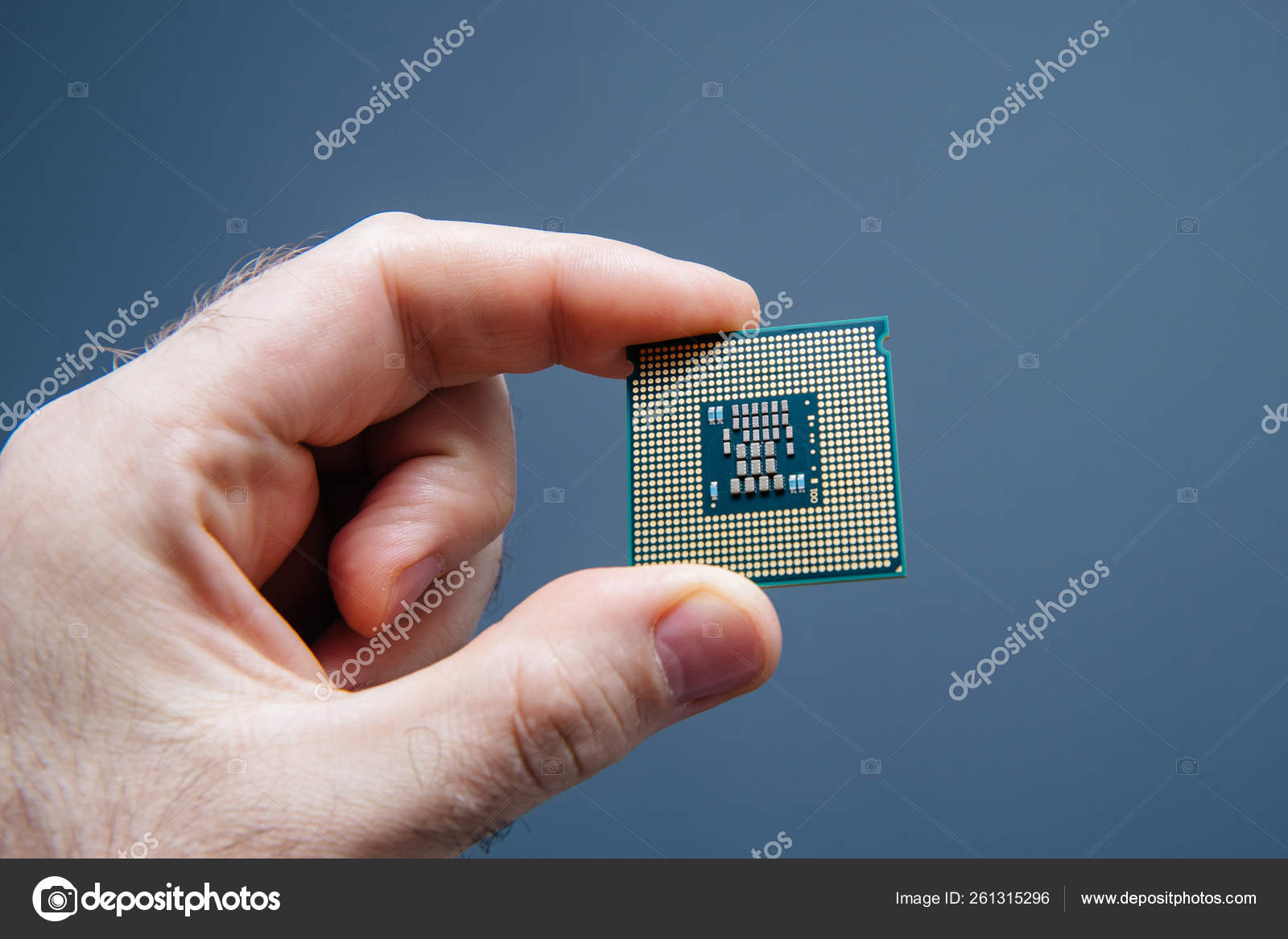 Man hand holding CPU Central processing unit gray background Stock ...
