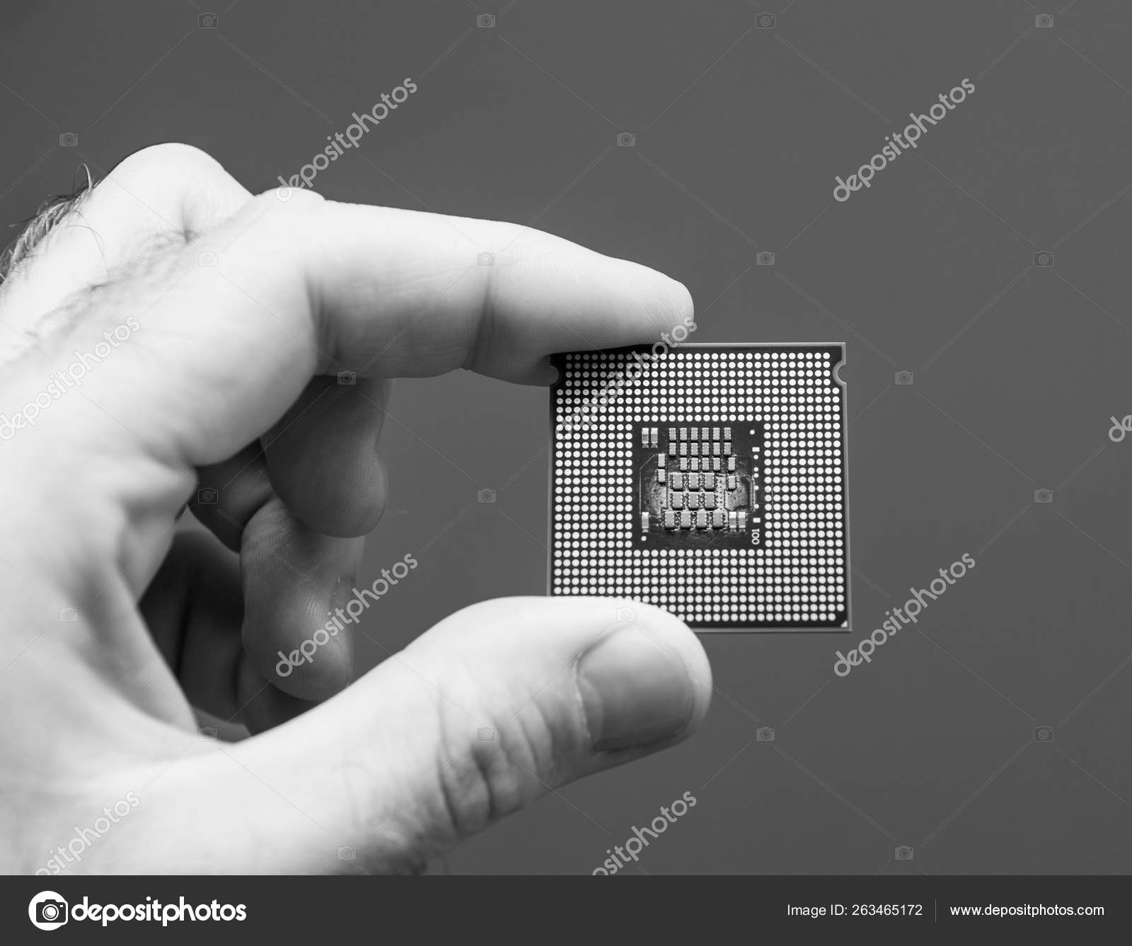 Man hand holding CPU Central processing unit gray background — Stock ...