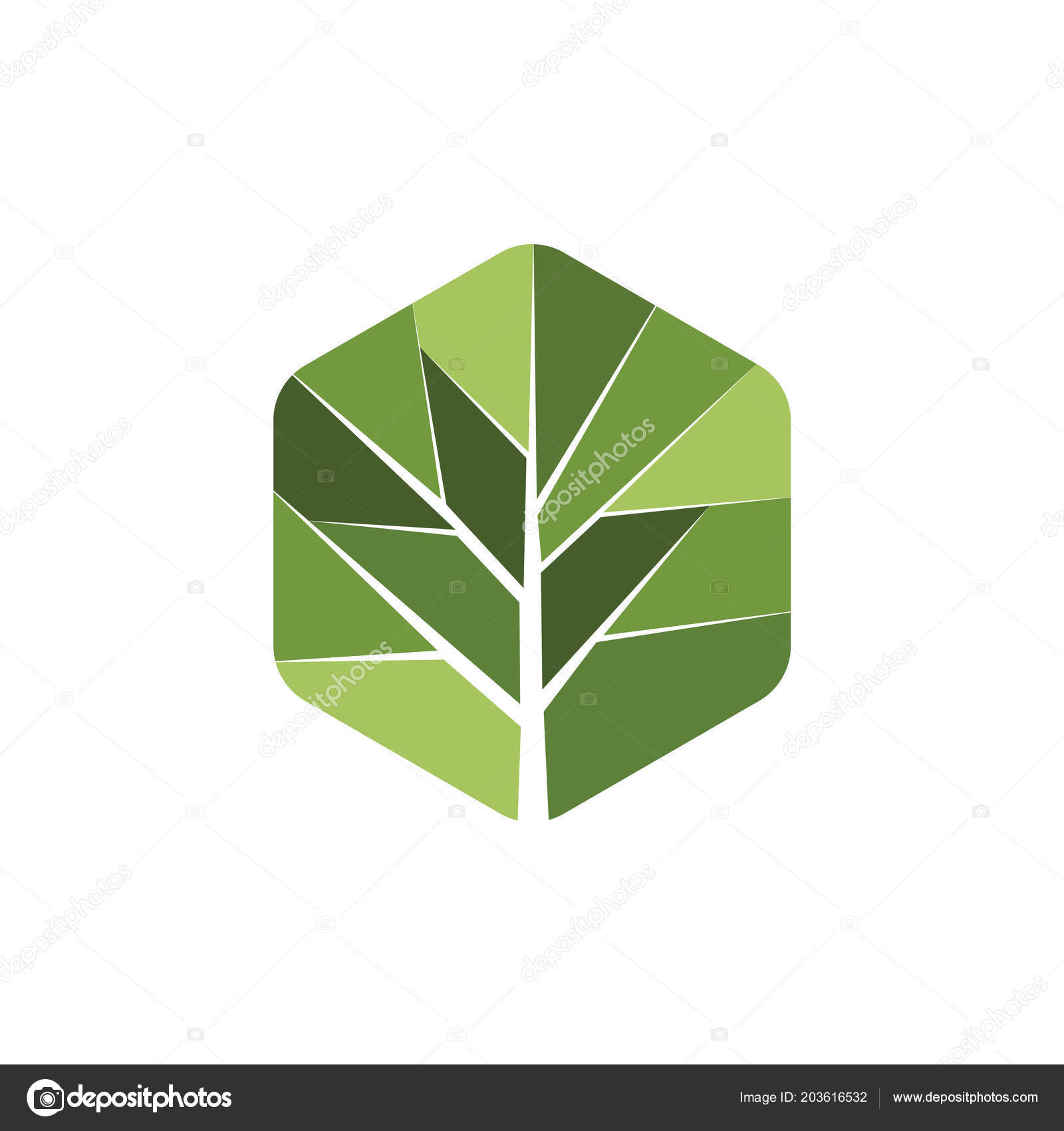 Branches Abstract Leaf Logo Vector Element Branches Logo Template Stock ...