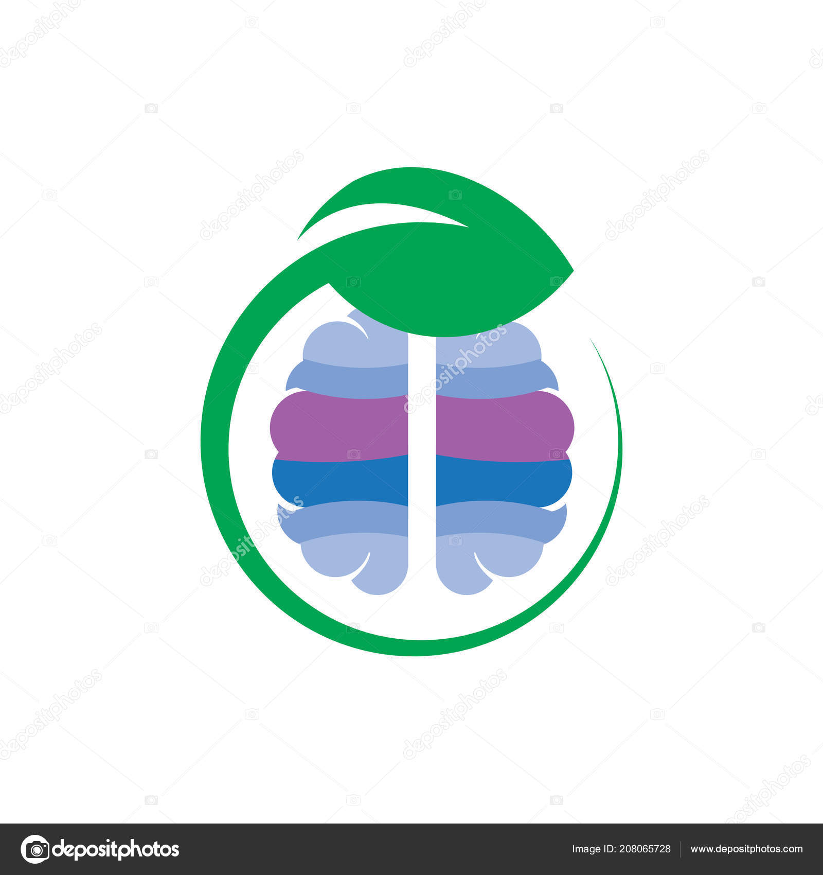 Brain Leaf Circle Logo Icon Vector Stock Illustration by ©Desbayy ...