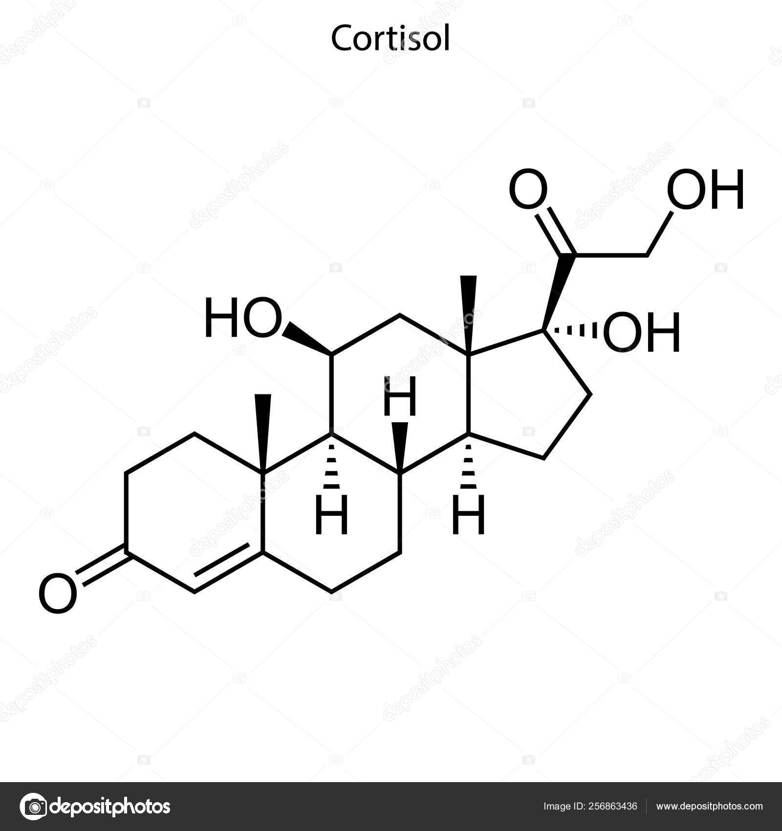 Steroid Structural Formula