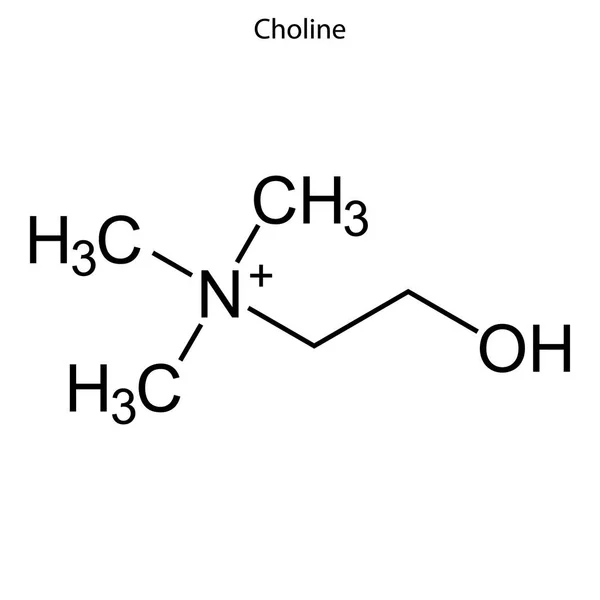 Choline Structure