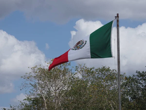 Imágenes de Reportes telmex, fotos de Reportes telmex sin royalties ...
