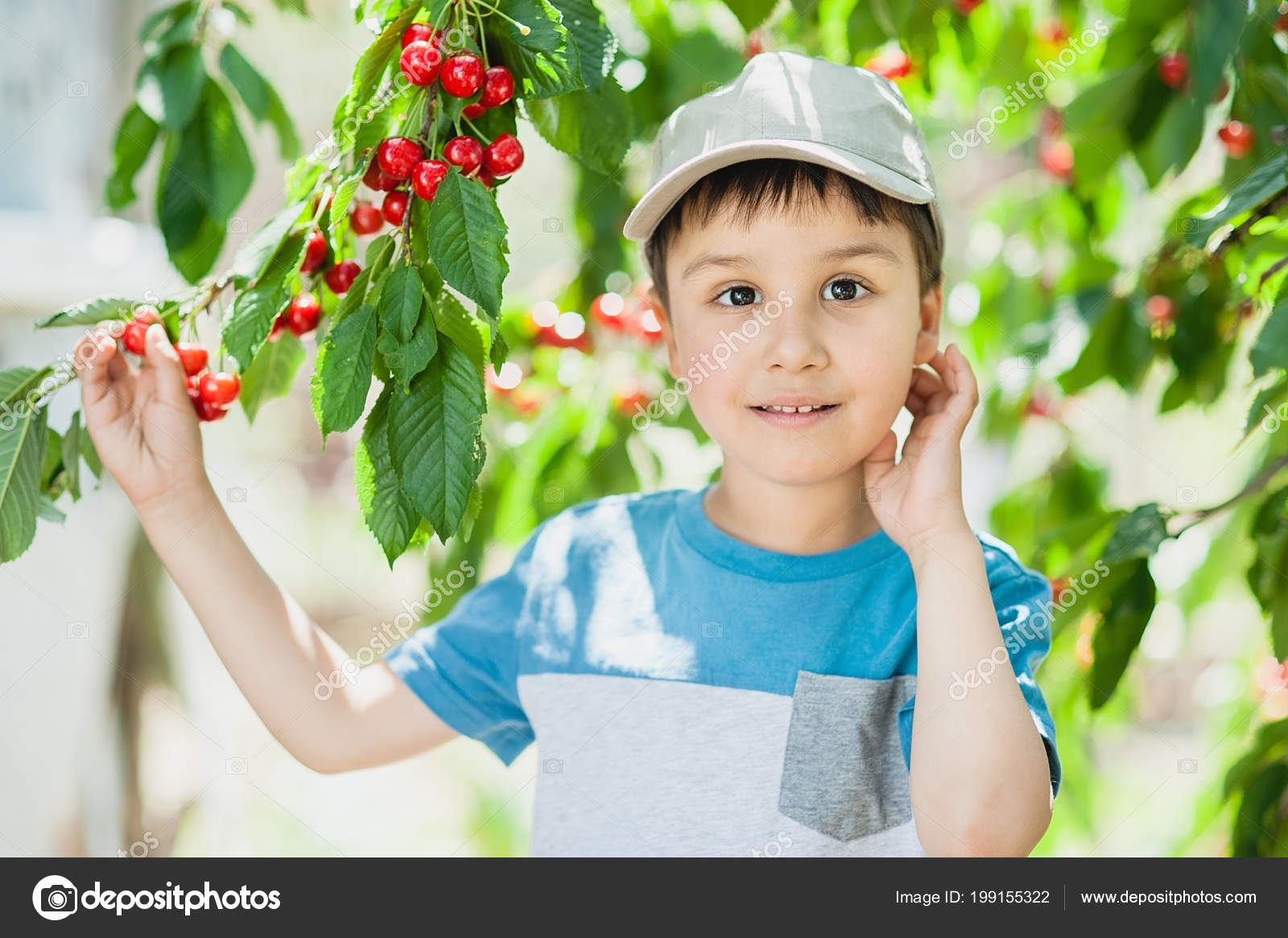 Child Pics Cherry Tree Healthy Childhood Vacations Village Boy Witn ...