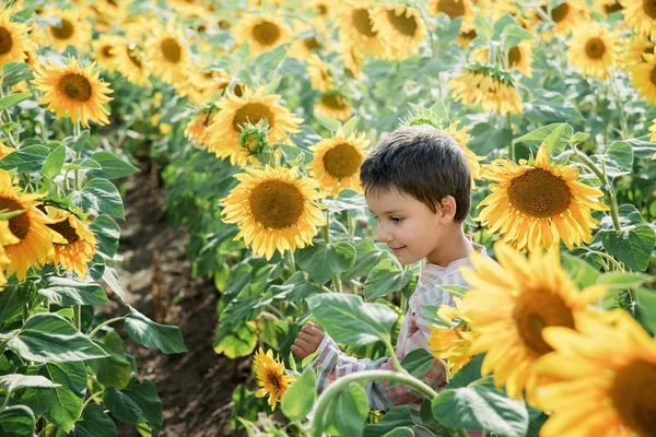 Sunflower kids Stock Photos, Royalty Free Sunflower kids Images ...