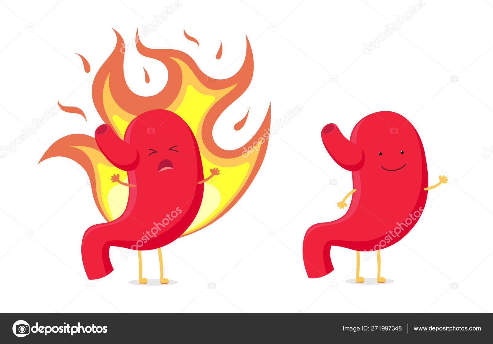 Digestive System Funny