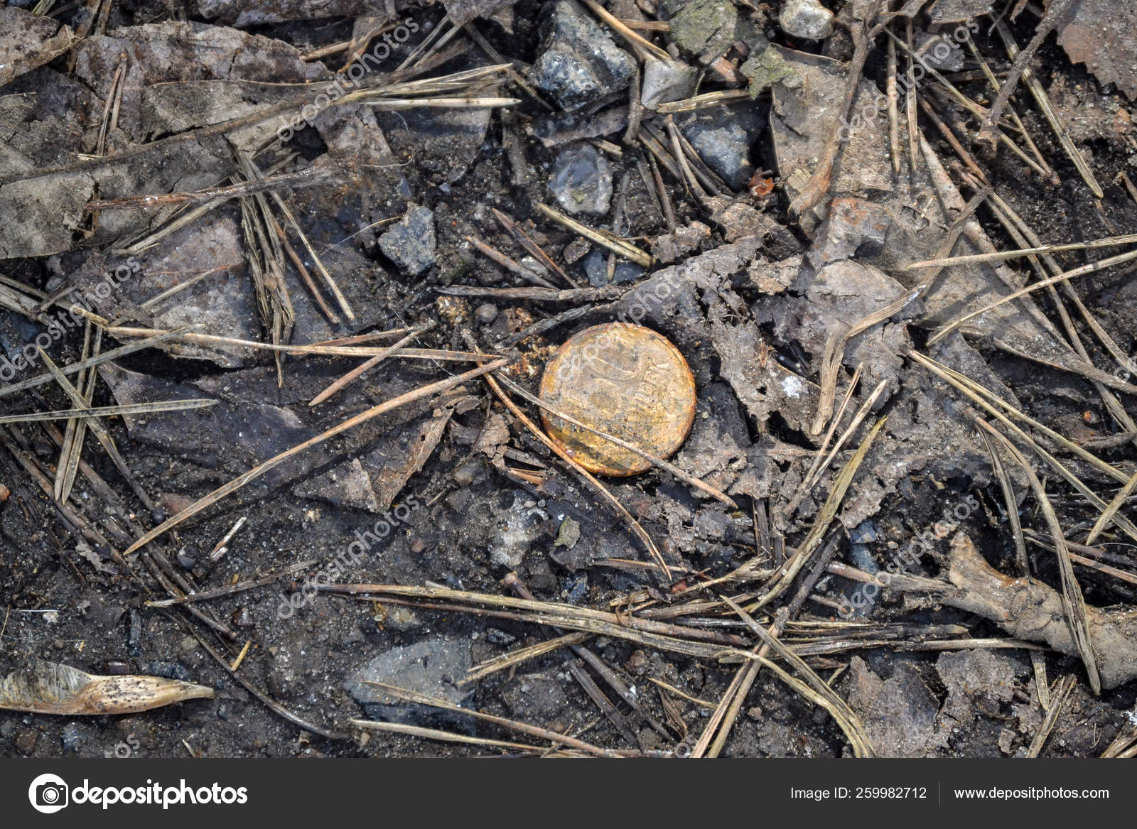Lost coin on the ground in the forest on the trail. The old lost coin ...