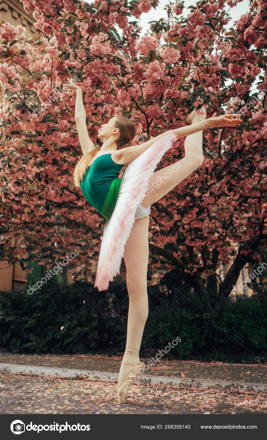 Arabesque Ballet Tutu
