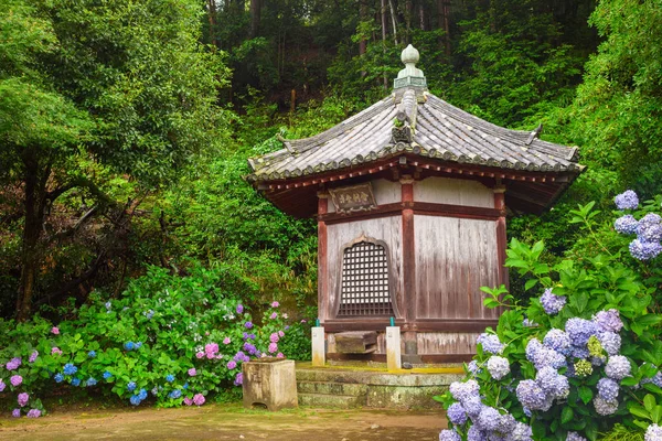 Pink hydrangea flowers blooming, Nara, Japan — Stock Photo © gnohz ...