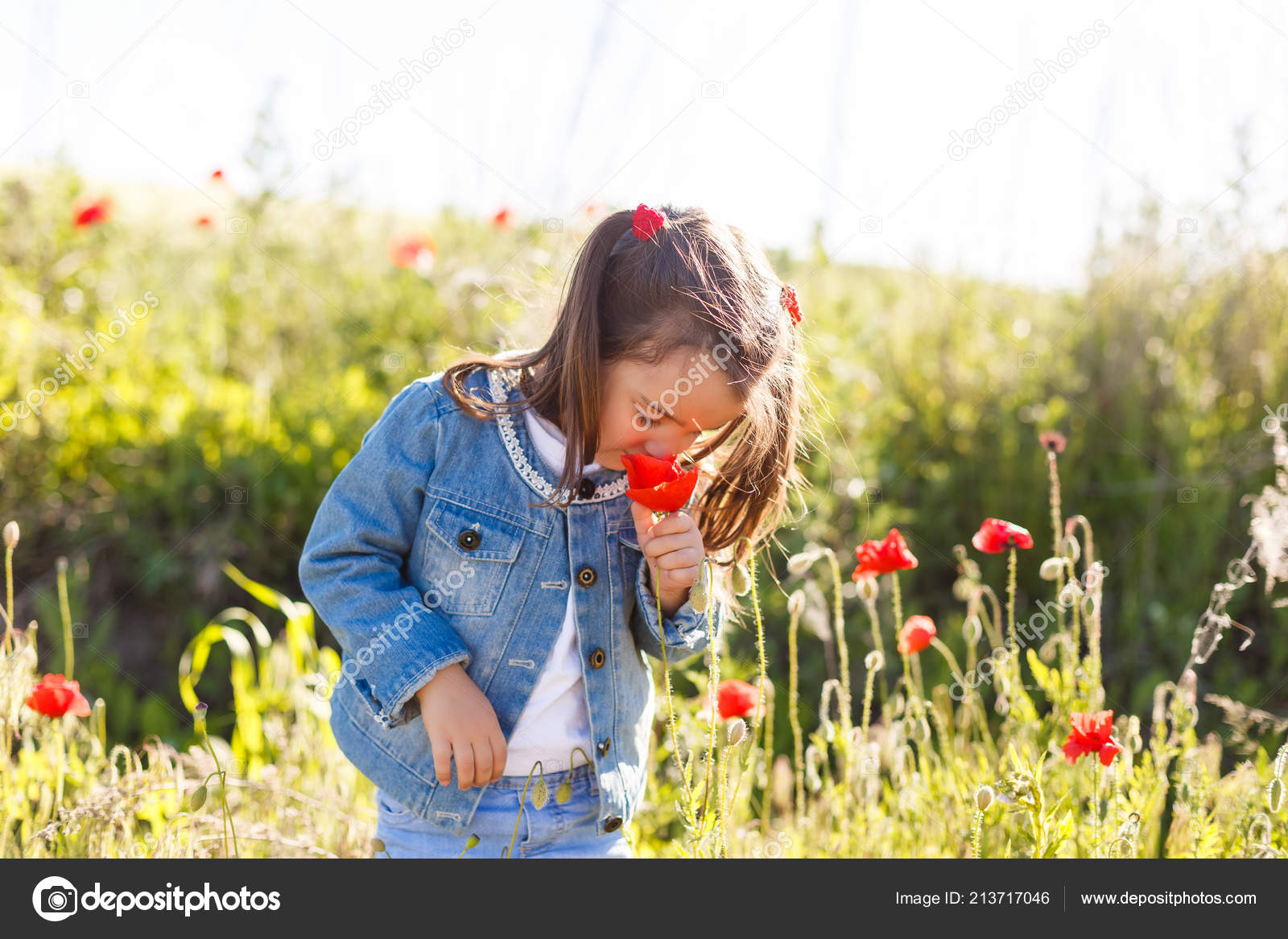 Little Girl Smelling Poppies Walking Field Stock Photo by ©sinenkiy ...