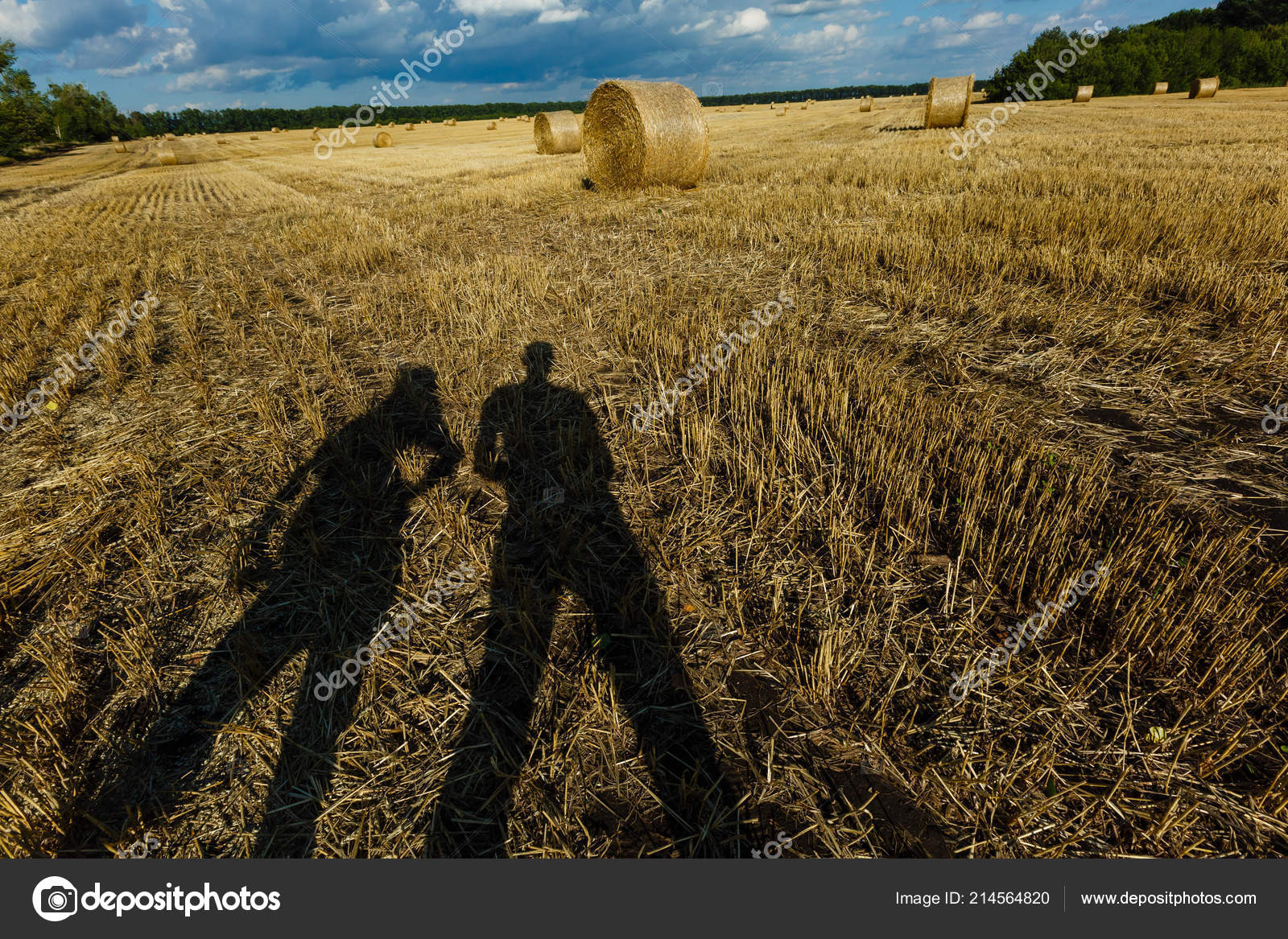 Shadows People Agriculture Field Sky Rural Nature Farm Land Straw ...