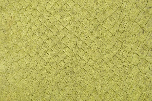 100,000 Dinosaur skin texture Vector Images | Depositphotos