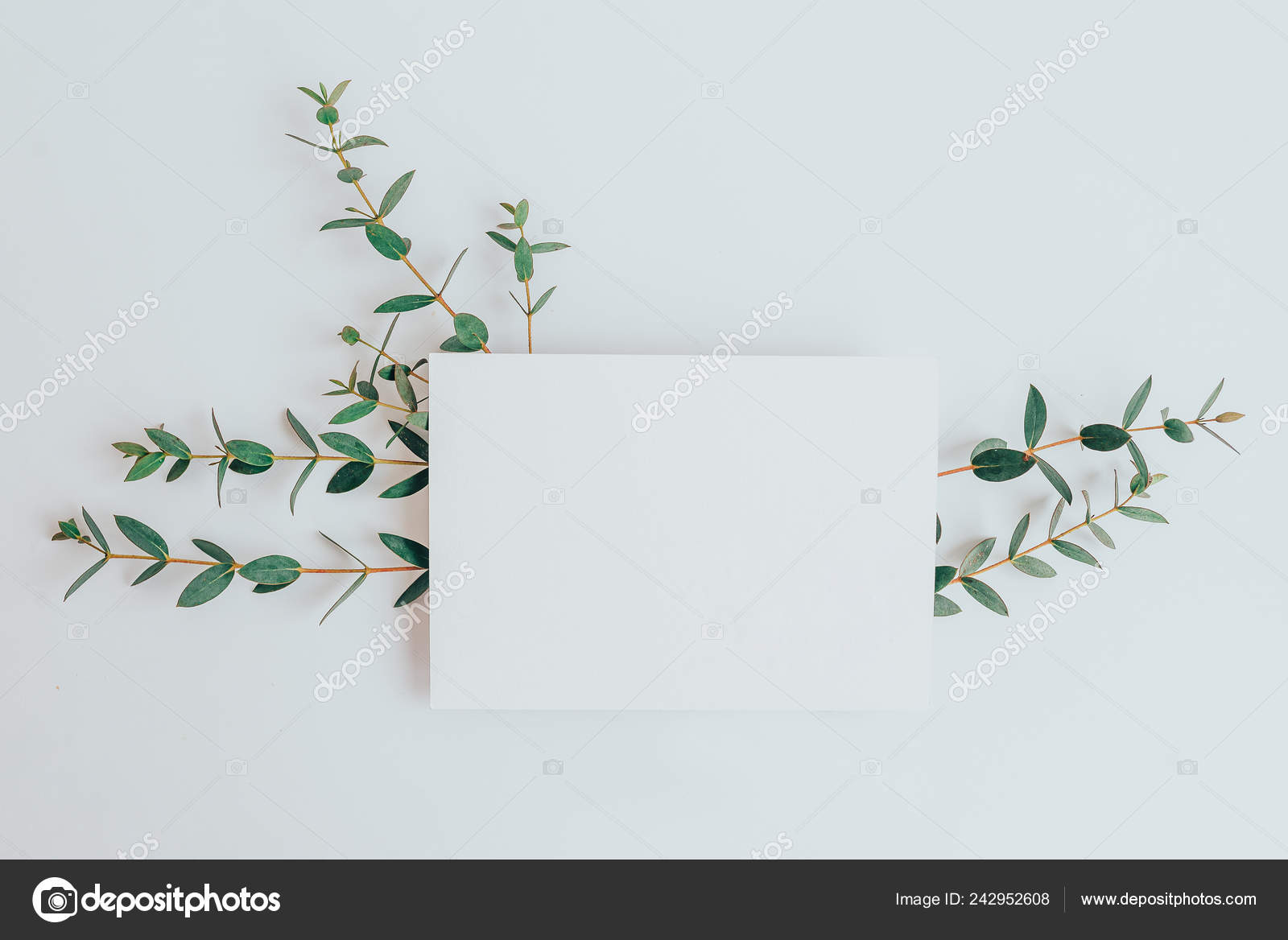Postcard Plant — Stock Photo © serik3700 #242952608