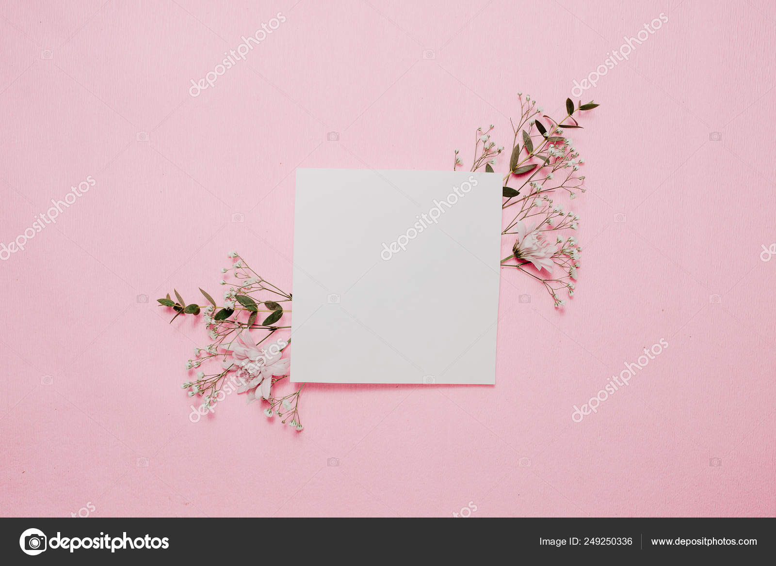 White Blank Card Pastel Flowers Pink Pale Background Stock Photo by ...
