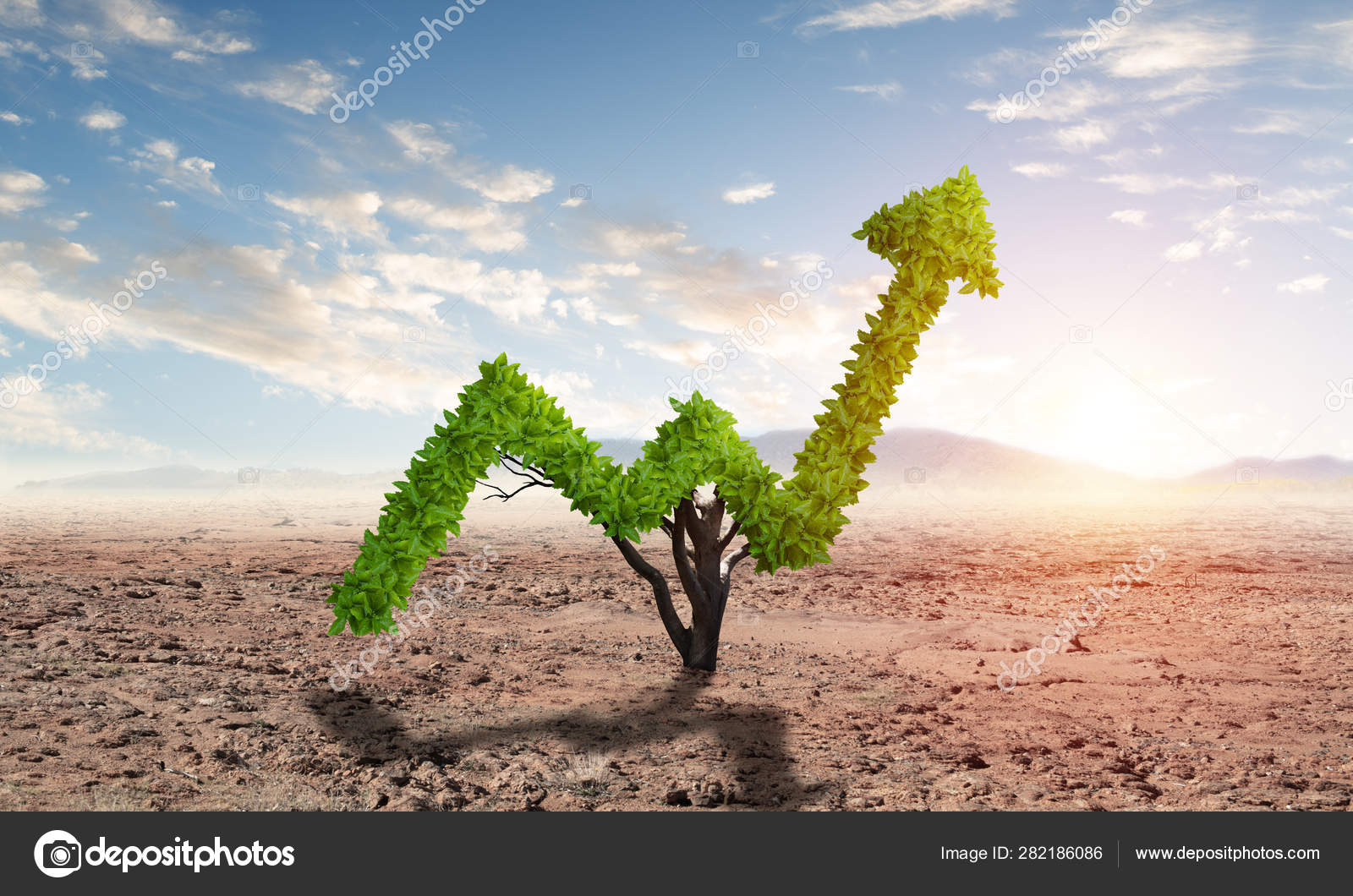 Green plant in shape of of grow up trend in desert — Stock Photo ...