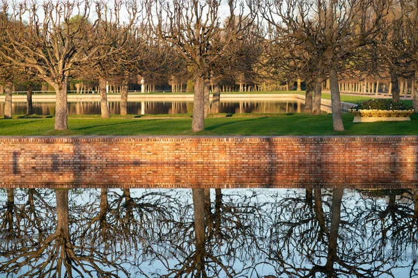 Beautiful tree near the water with nobody. garden on the nature. Stock ...