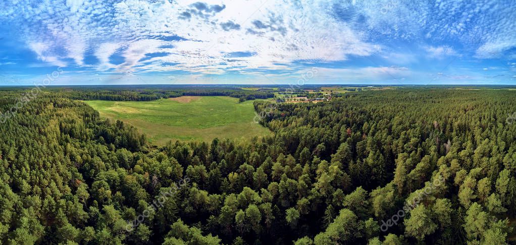 Hermosa vista panorámica del dron aéreo al bosque de Bialowieza, una de ...