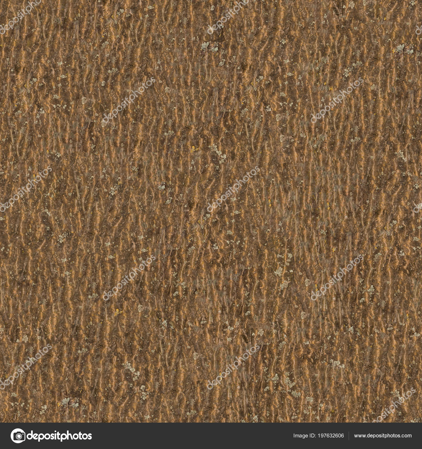 Wooden Bark. Seamless Tileable Texture. Stock Photo by ©tashatuvango ...